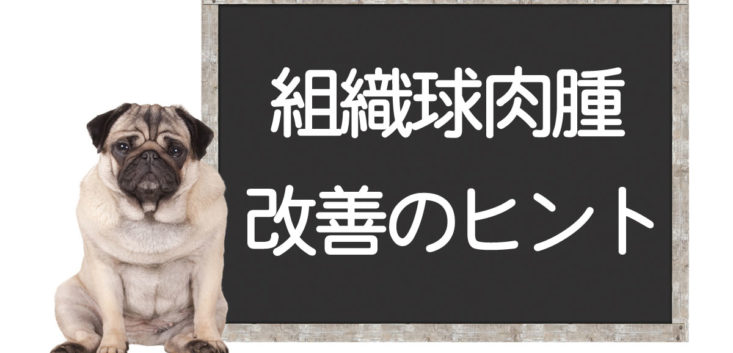 Histiocytic Sarcoma in Dogs ― Tumor Diagnosis, Surgery, Treatment ...