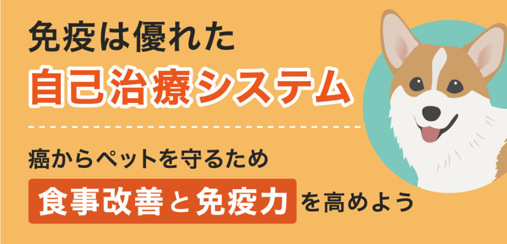 Dog Cancer＜Cordy Research Laboratory＞